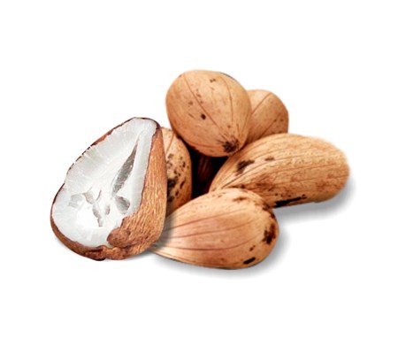 Murumuru Butter - Vigon