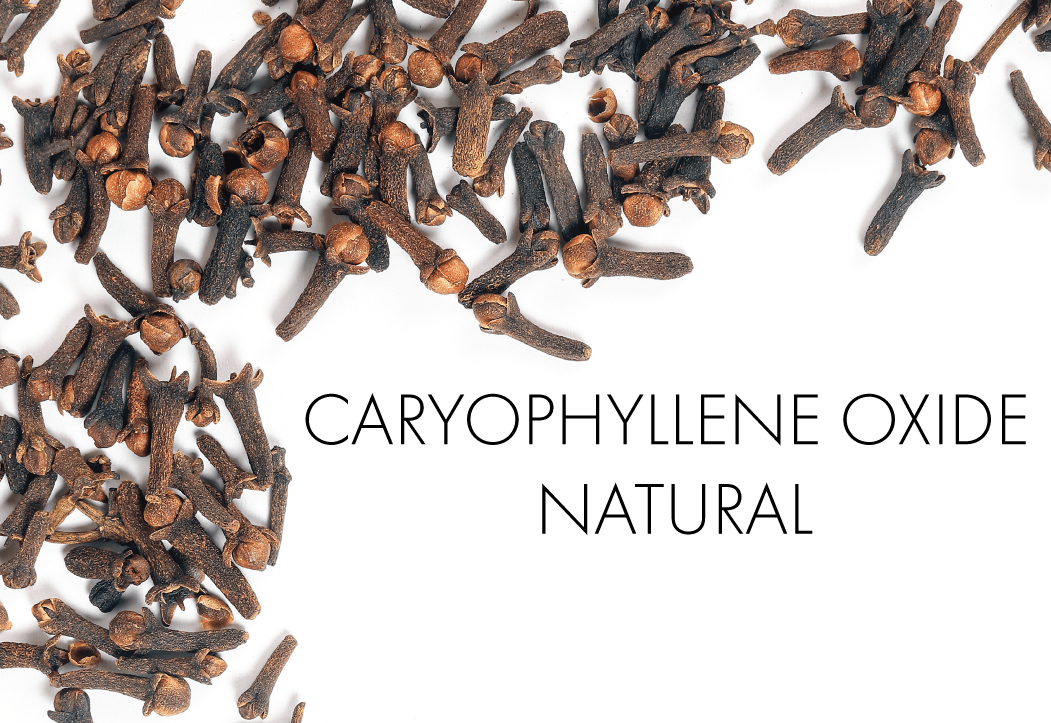 Caryophyllene Oxide Terpene Review: What Is It And What It, 59% OFF