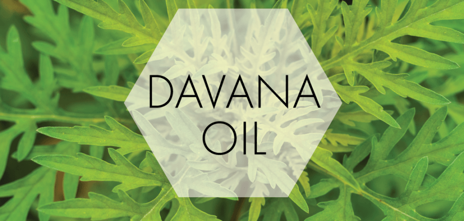 Davana Oil | Vigon