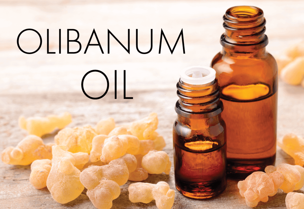 Olibanum Oil - Vigon