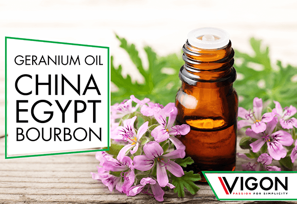 Geranium Oil - Vigon