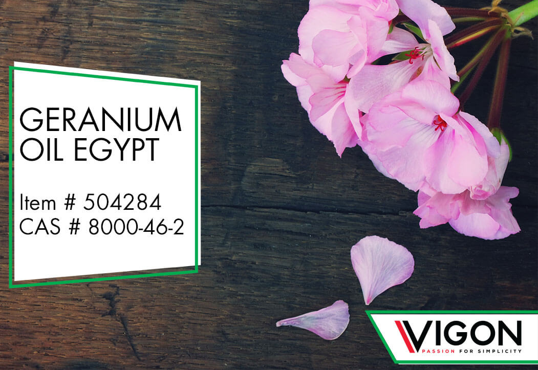 Geranium Oil Egypt - Vigon