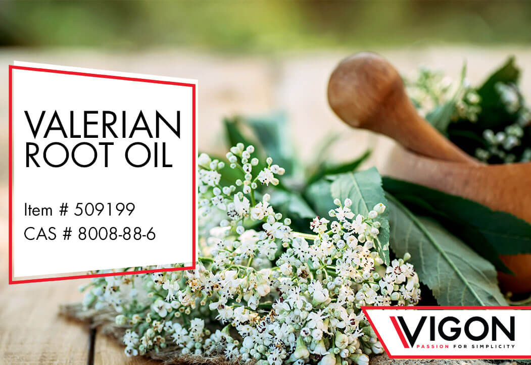 Valerian Root Oil - Vigon