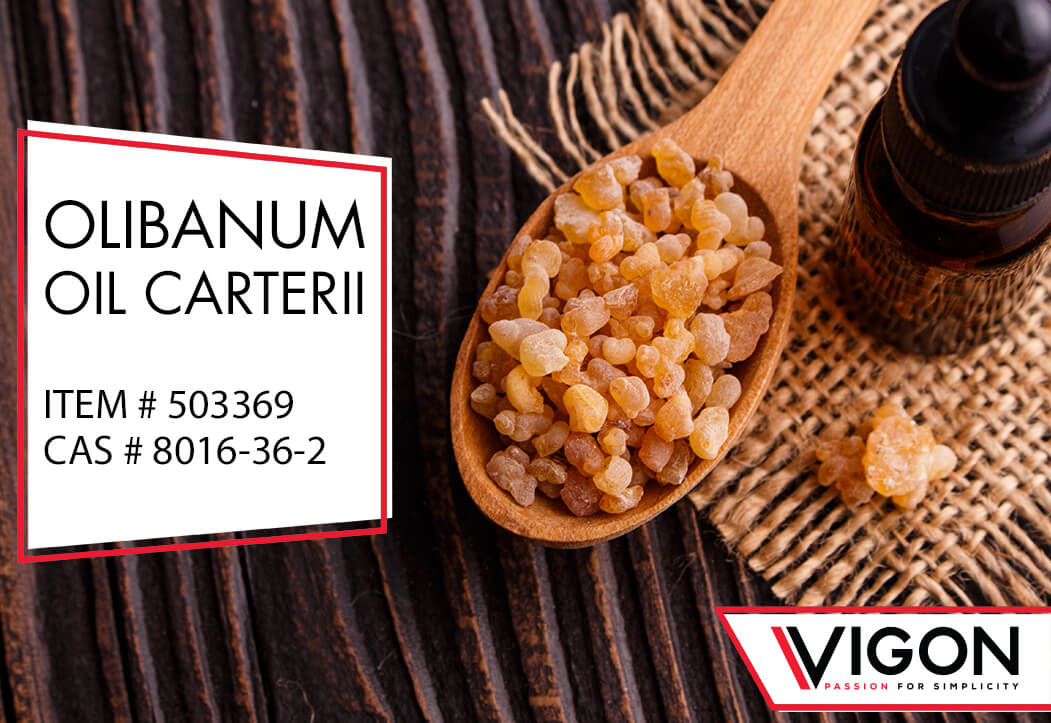 Olibanum Oil Carterii 100% Pure - Vigon